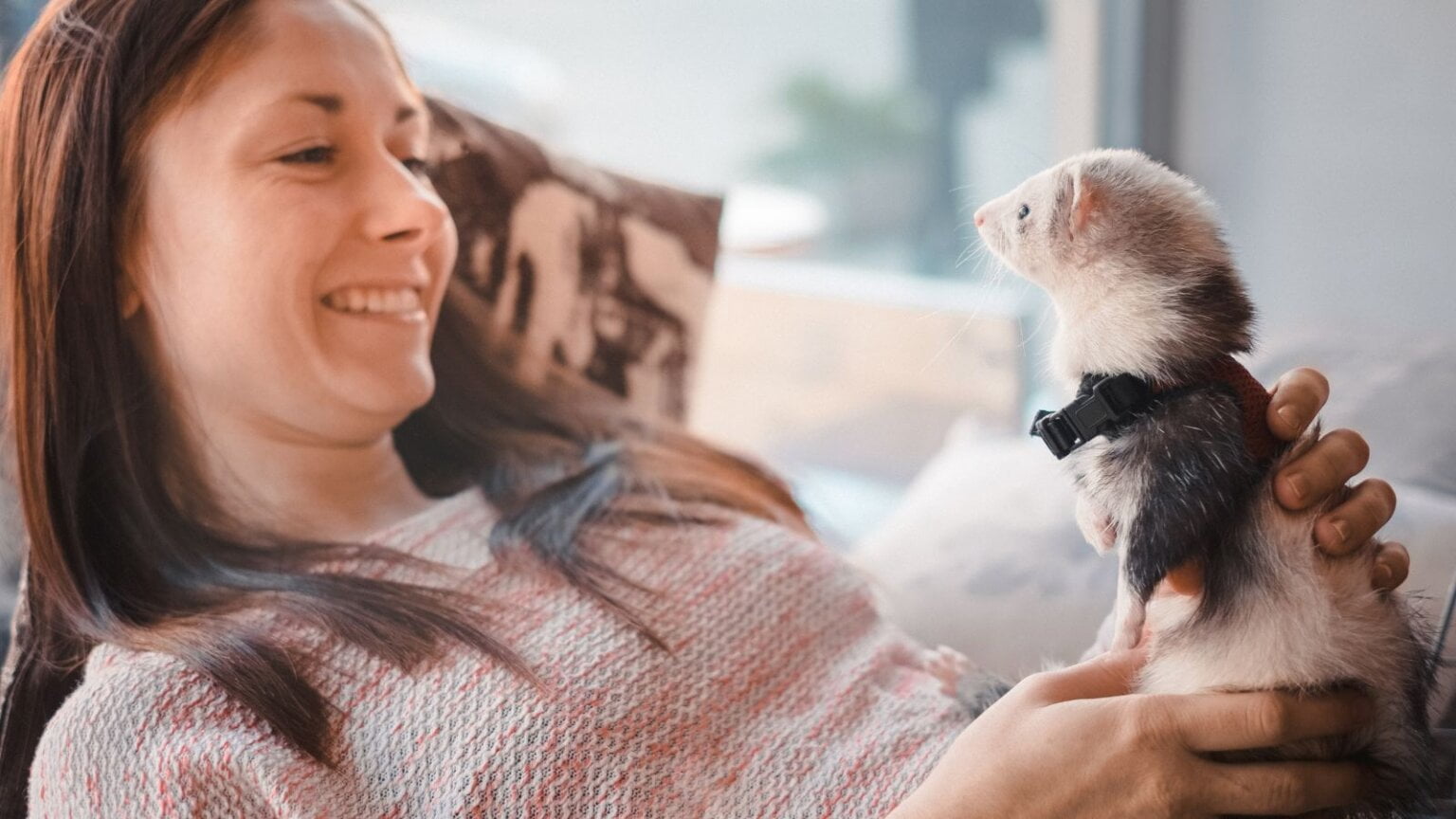 10 Best Small Pets To Love That Aren't Cats and Dogs