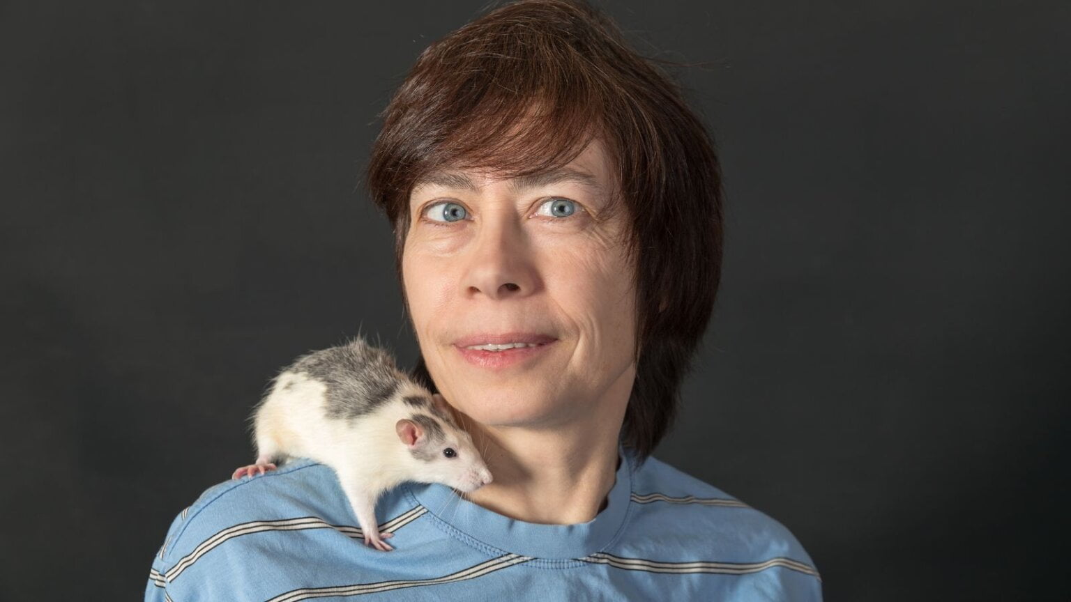 10 Best Small Pets To Love That Aren't Cats and Dogs