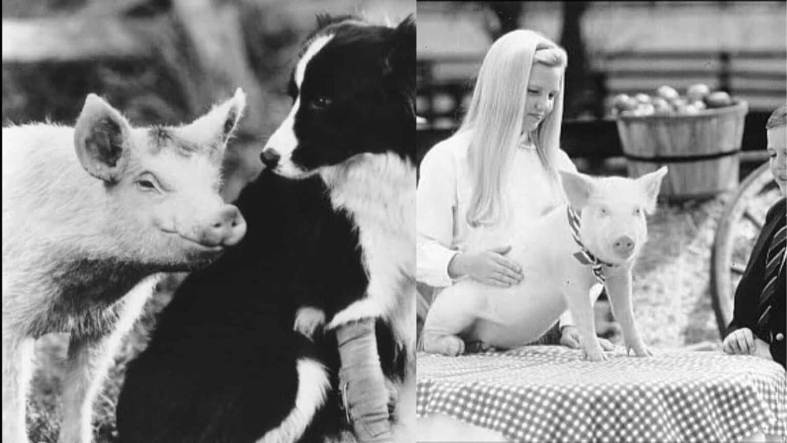 15-movies-with-bizarrely-similar-and-specific-plots-that-came-out-at ...